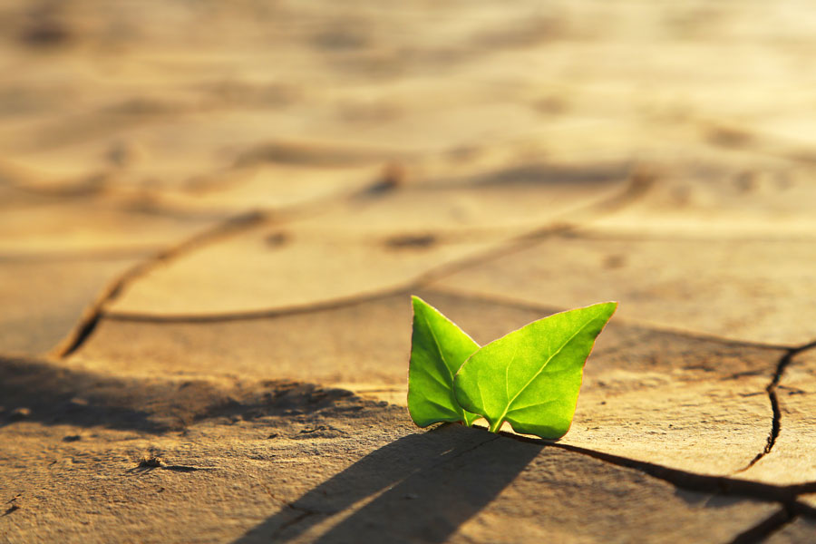 Climate Change & Environment - Federation of PEI Municipalities